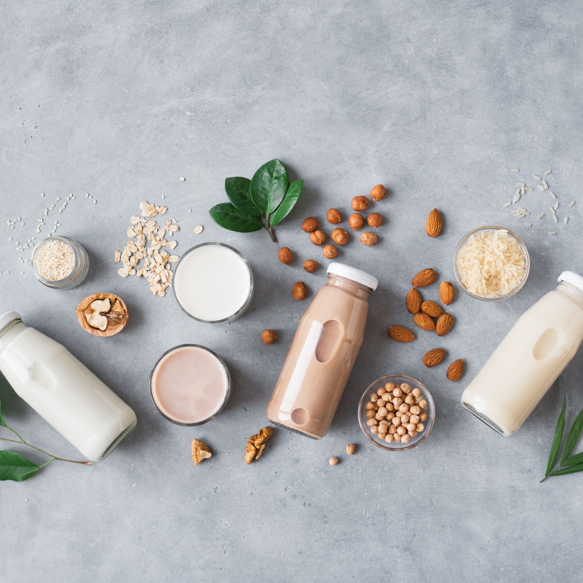 What are Plant-Based Drinks and their Benefits – MulSecrets